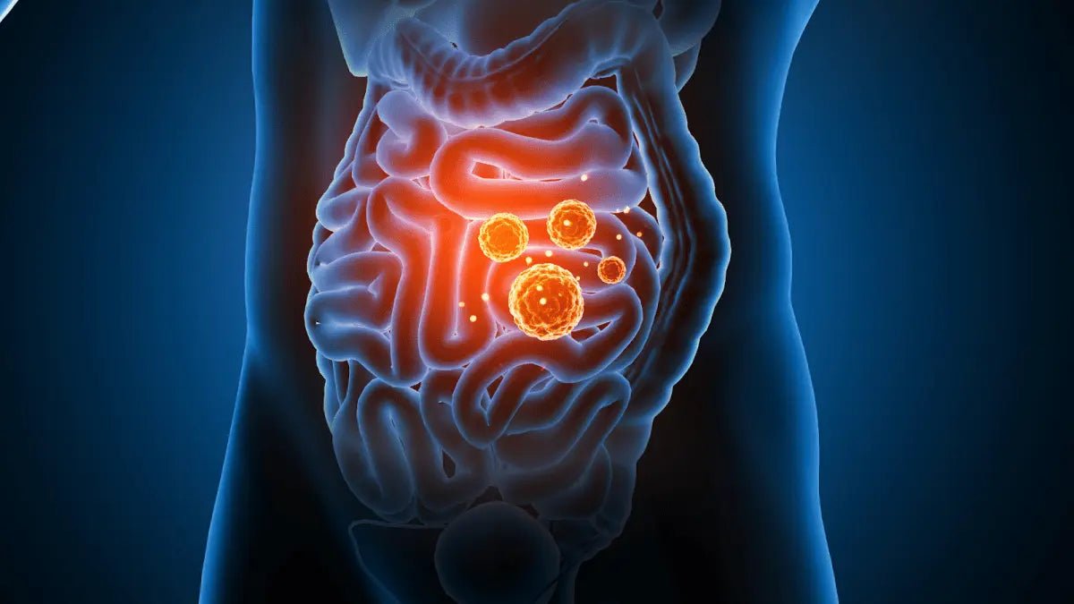 Gut Health Cleanse: A Daily Ritual for Digestive Balance